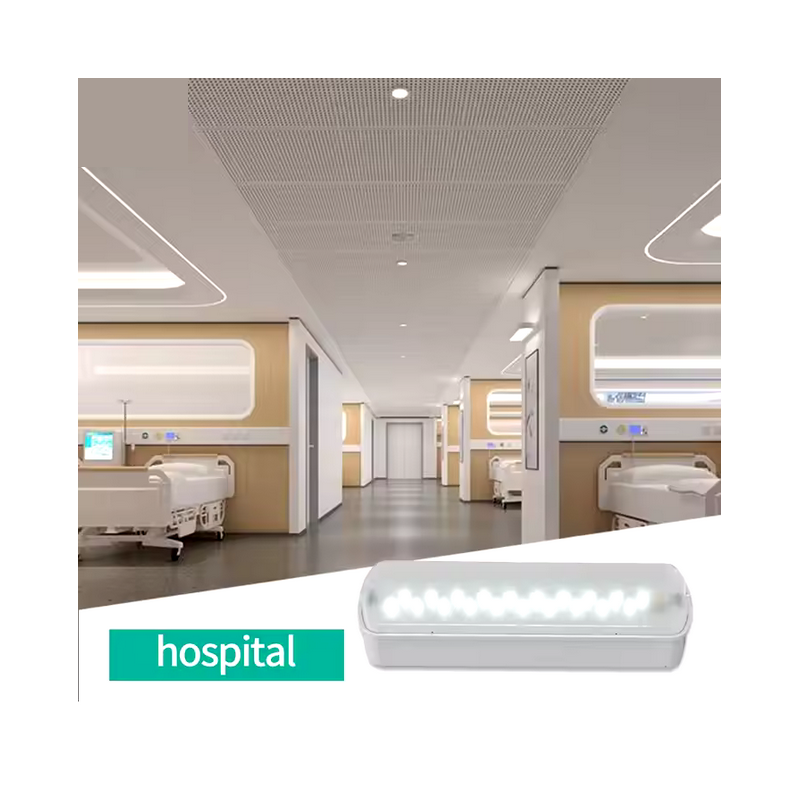 Emergency Light 10W - Mauritius